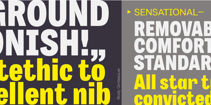 Body Font | Webfont & Desktop | MyFonts