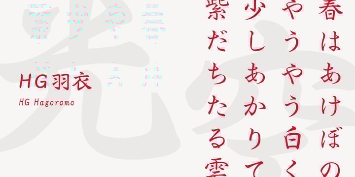 RICOH Font Foundry | MyFonts