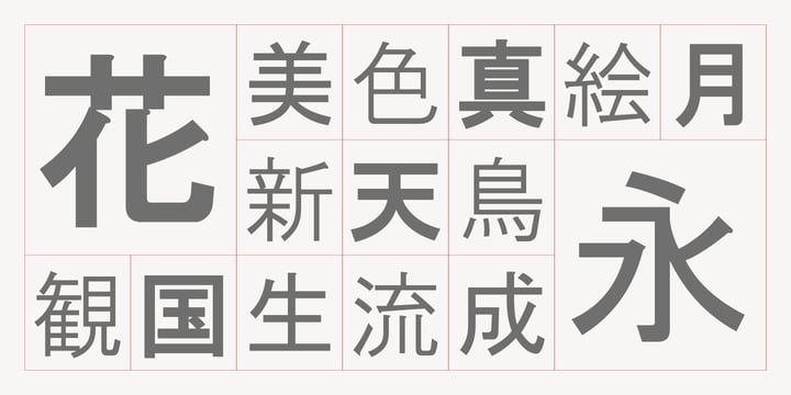 RICOH Font Foundry | MyFonts