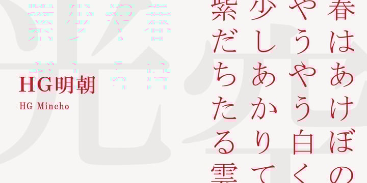 RICOH Font Foundry | MyFonts