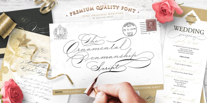 The Wedding Script Font | Webfont & Desktop | MyFonts