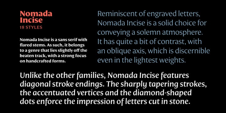 Nomada Incise Font | Webfont & Desktop | MyFonts