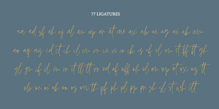 Hamilton Signature Script Font | Webfont & Desktop | MyFonts