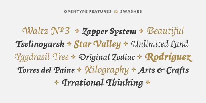 Radal Font | Webfont & Desktop | MyFonts