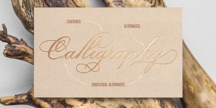 Diplomatic Font | Webfont & Desktop | MyFonts