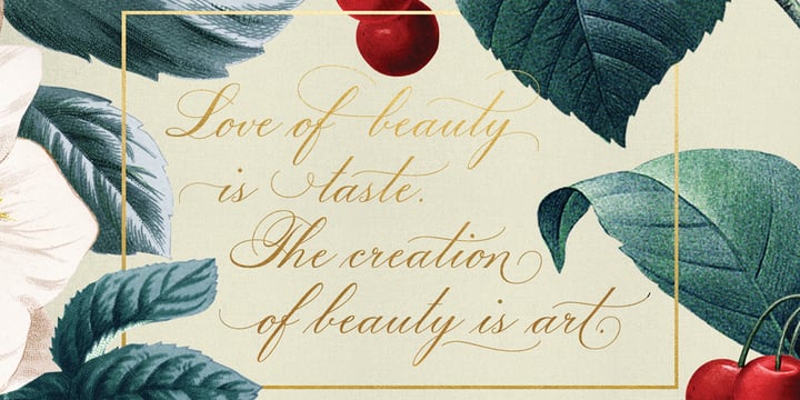 Diplomatic Font | Webfont & Desktop | MyFonts