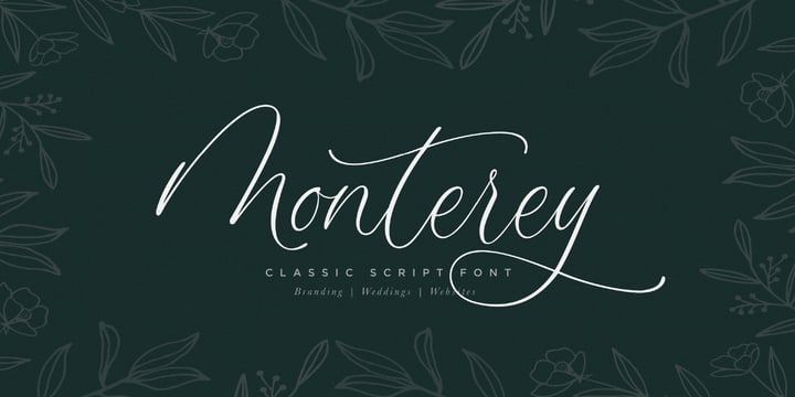 Monterey Script Font | Webfont & Desktop | MyFonts