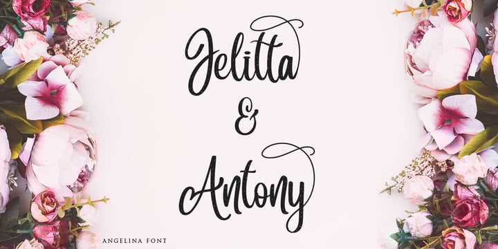 Angelina Script Font | Webfont & Desktop | MyFonts