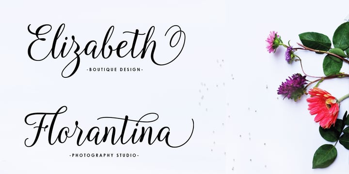 Kasandra Script Font | Webfont & Desktop | MyFonts