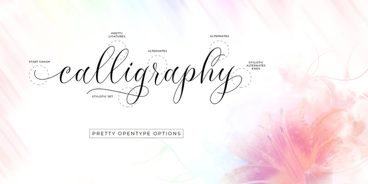 Molandika Script Font | Webfont & Desktop | MyFonts