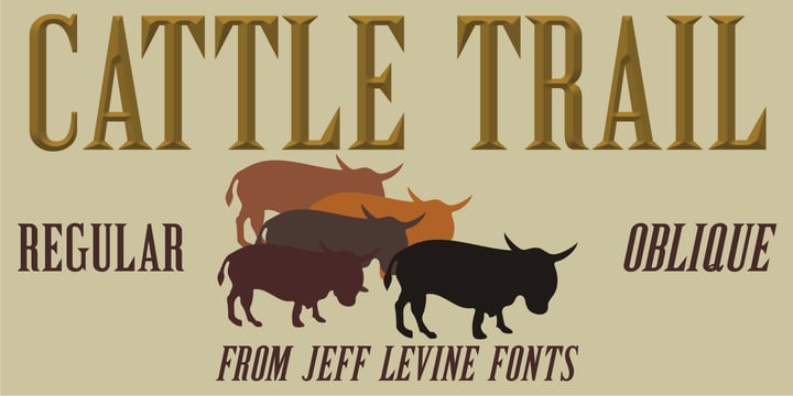 Cattle Trail JNL Font | Webfont & Desktop | MyFonts