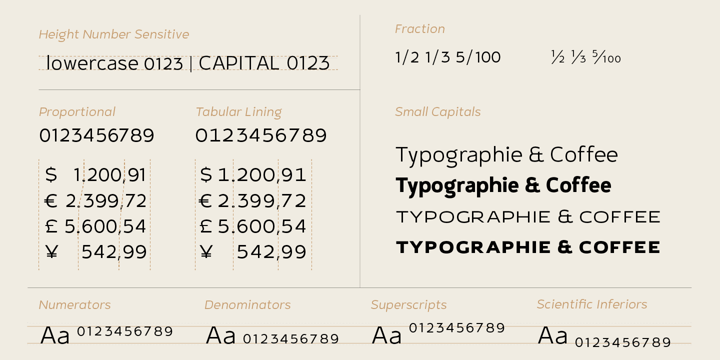 Gorga Grotesque Font | Webfont & Desktop | MyFonts