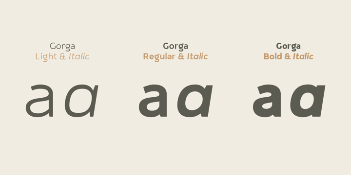 Gorga Grotesque Font | Webfont & Desktop | MyFonts