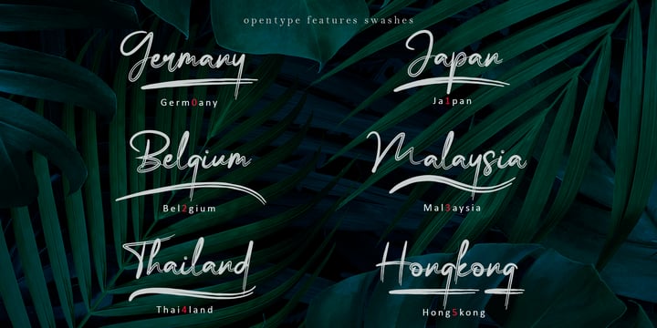 Bassy Font | Webfont & Desktop | MyFonts