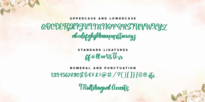 Hudiya Script Font | Webfont & Desktop | MyFonts