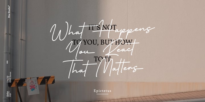 Flatlion Font | Webfont & Desktop | MyFonts