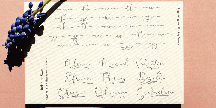 Blooming Valerian Font | Webfont & Desktop | MyFonts