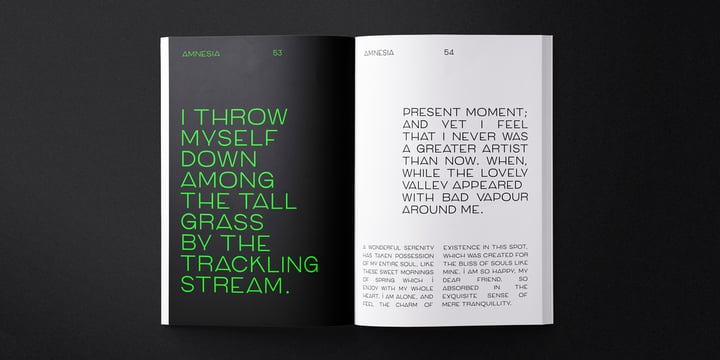 Mango Grotesque Font | Webfont & Desktop | MyFonts