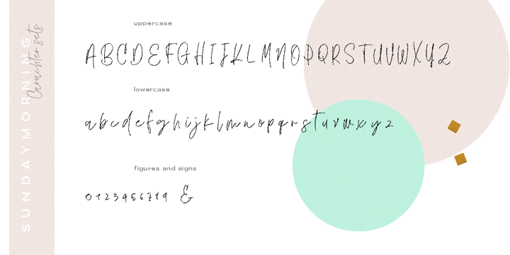 Sunday Morning Font | Webfont & Desktop | MyFonts