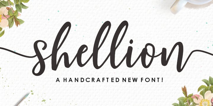 Shellion Script Font | Webfont & Desktop | MyFonts