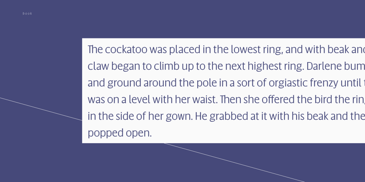 Catalyst Font | Webfont & Desktop | MyFonts