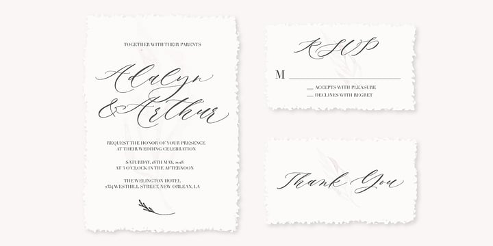 Roselyn Font | Webfont & Desktop | MyFonts