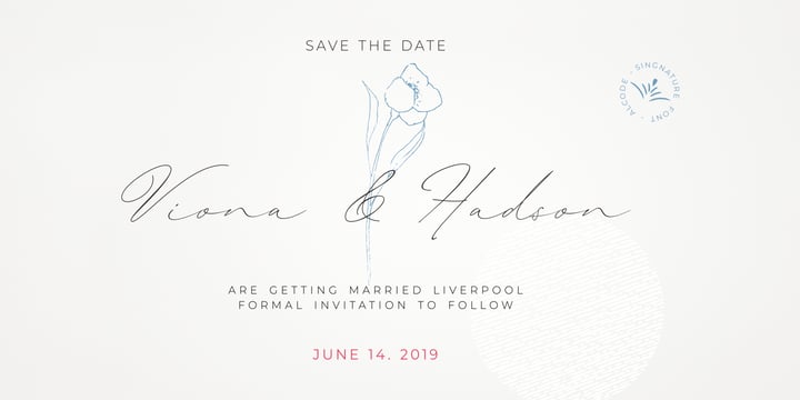 Karmila Script Font | Webfont & Desktop | MyFonts