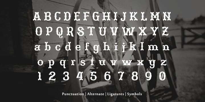 Martinez Font | Webfont & Desktop | MyFonts