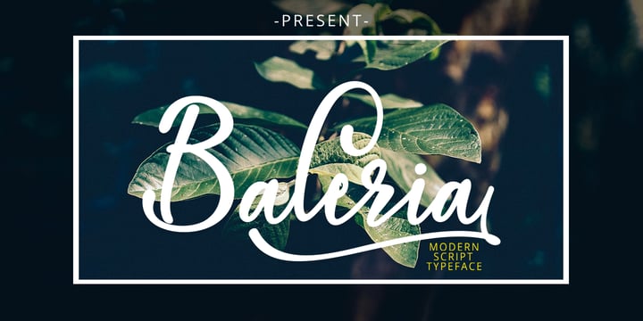 Baleria Script Font | Webfont & Desktop | MyFonts