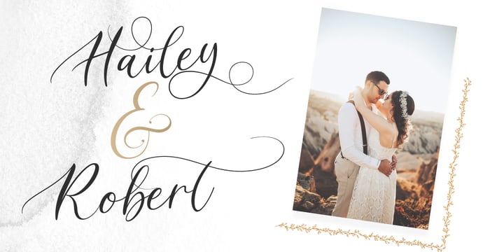 Violeta Font | Webfont & Desktop | MyFonts