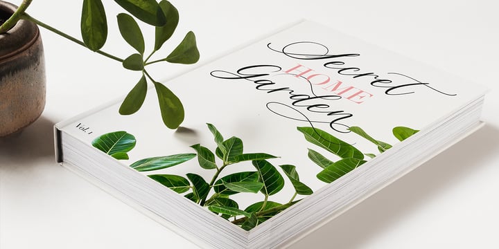 Violeta Font | Webfont & Desktop | MyFonts