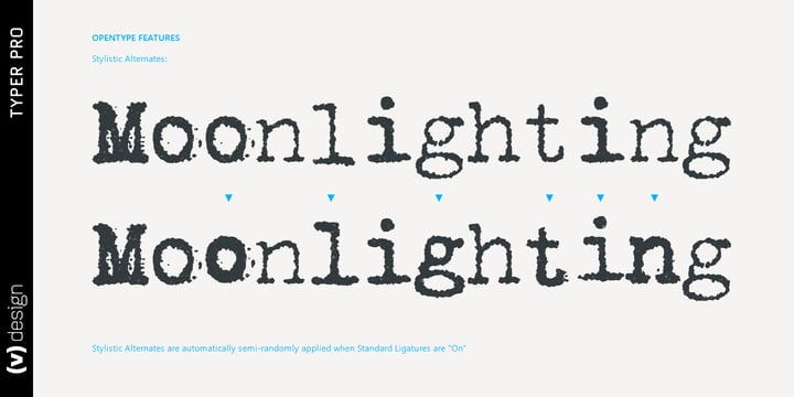 Typer Pro Font | Webfont & Desktop | MyFonts