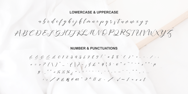 Fathir Script Font | Webfont & Desktop | MyFonts