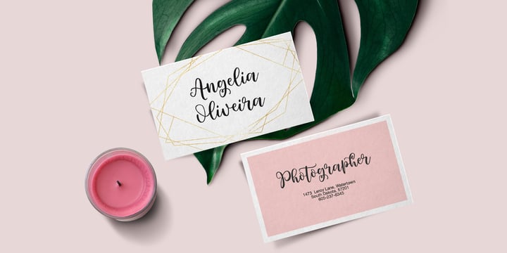 Brigitte Font | Webfont & Desktop | MyFonts