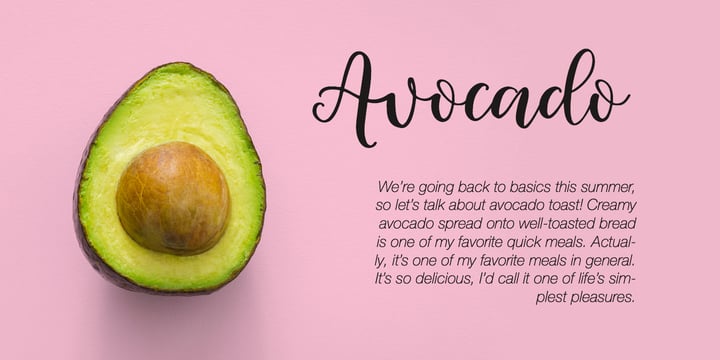 Brigitte Font | Webfont & Desktop | MyFonts