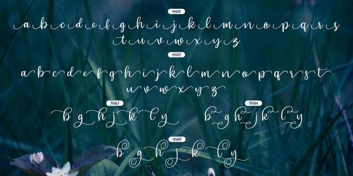 Beyond Font | Webfont & Desktop | MyFonts