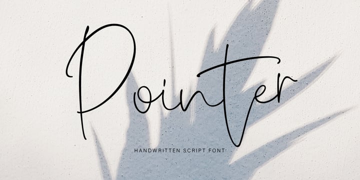 Pointer Font | Webfont & Desktop | MyFonts