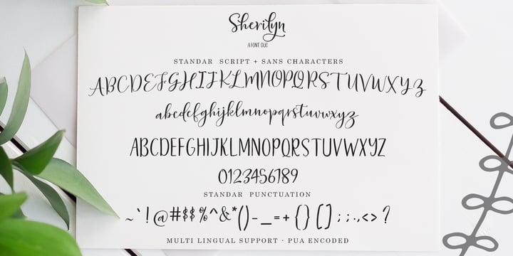 Sherilyn Script Duo Font | Webfont & Desktop | MyFonts