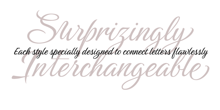 Birthstone Font | Webfont & Desktop | MyFonts