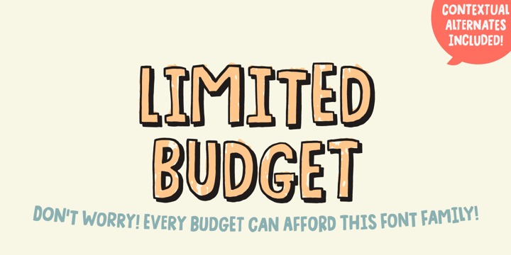 Limited Budget Font | Webfont & Desktop | MyFonts