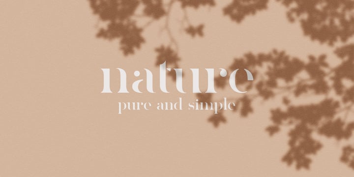 Callisto Font | Webfont & Desktop | MyFonts