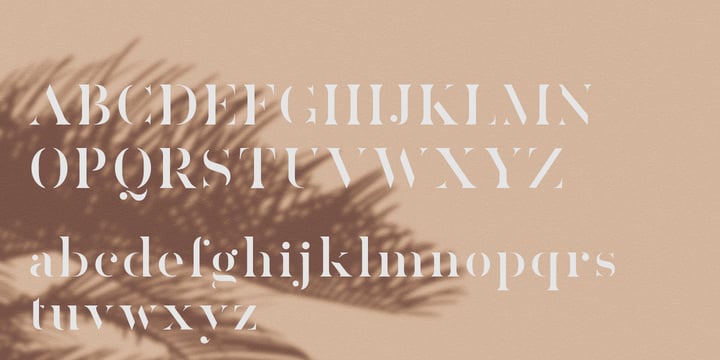 Callisto Font | Webfont & Desktop | MyFonts