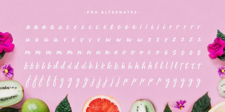 Viva Beautiful Collection Font | Webfont & Desktop | MyFonts