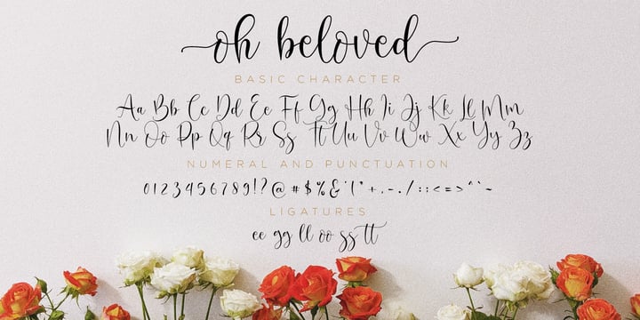 Oh Beloved Font | Webfont & Desktop | MyFonts
