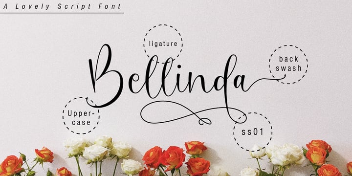 Oh Beloved Font | Webfont & Desktop | MyFonts