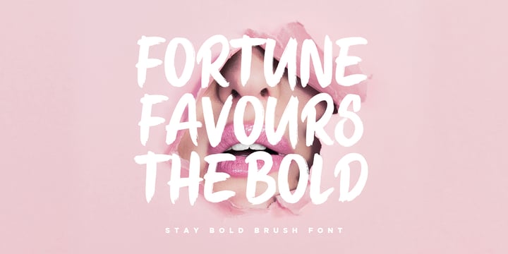 Stay Bold Font | Webfont & Desktop | MyFonts