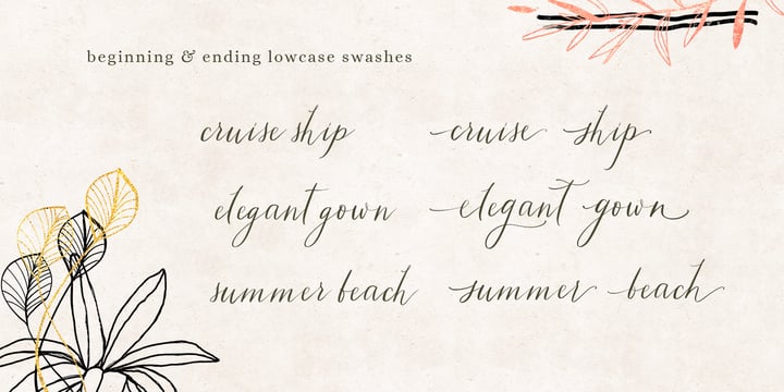 Tiara Font | Webfont & Desktop | MyFonts