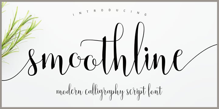 Smoothline Script Font | Webfont & Desktop | MyFonts