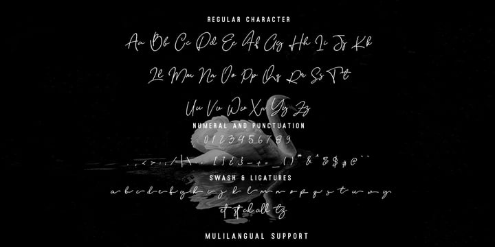 Quetzalli Font | Webfont & Desktop | MyFonts