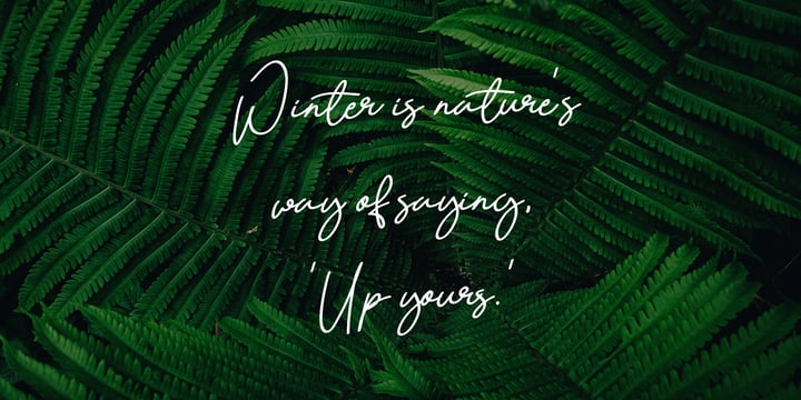 Quetzalli Font | Webfont & Desktop | MyFonts